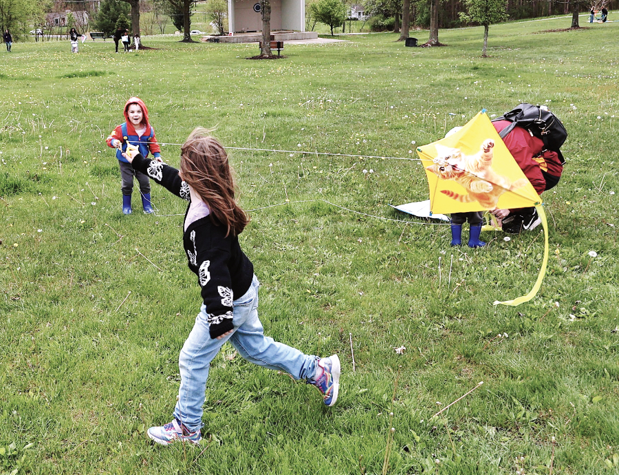 Sky high: 400 people fly kites at Austintown festival | News, Sports ...